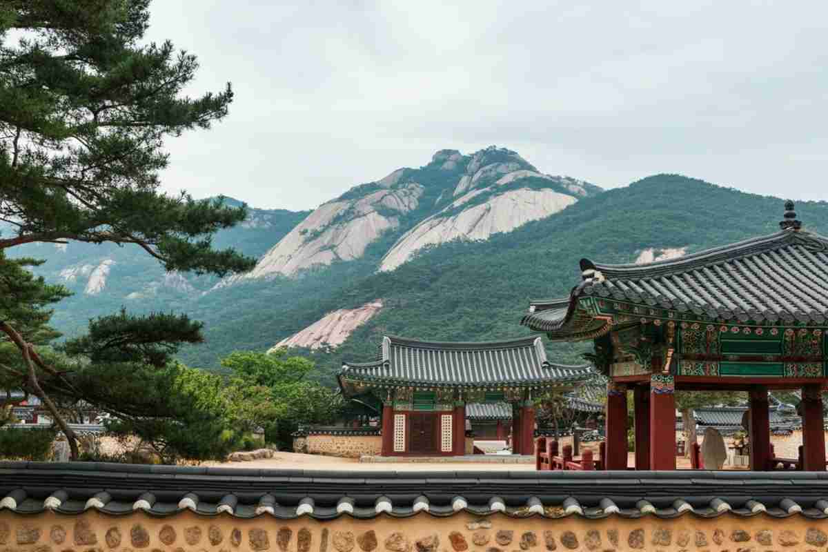 Trento Film Festival 74: un tributo indimenticabile a Claudia Cardinale ...